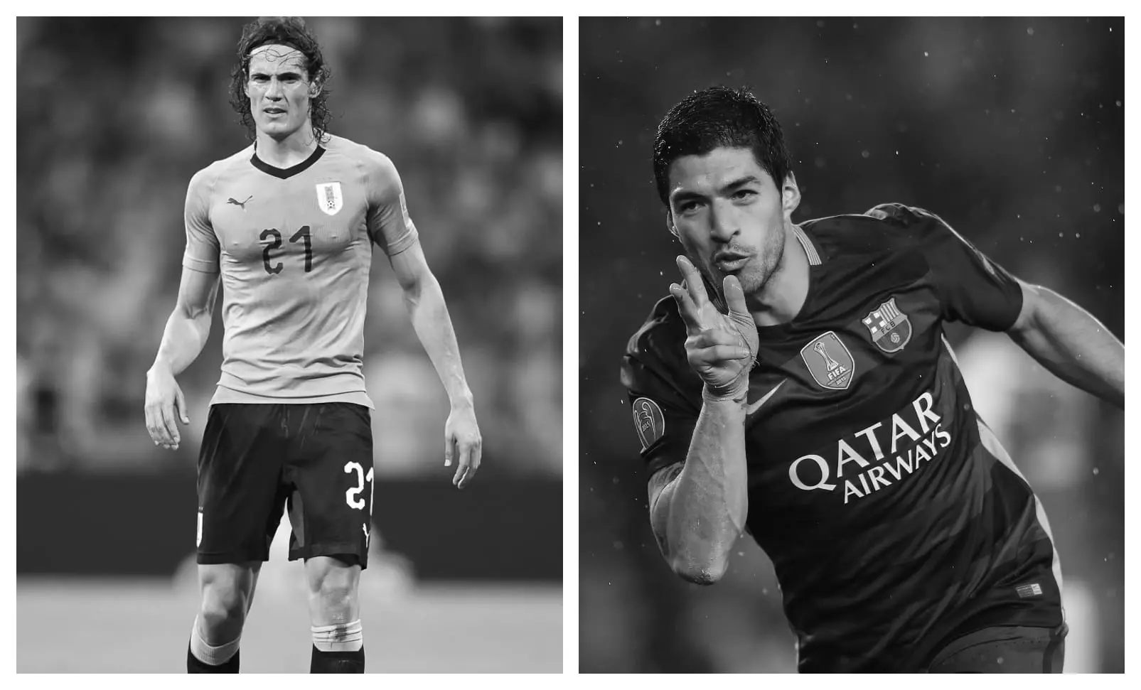 Edinson Cavani vs Luis Suarez Stats Comparison | Career All Time Stats