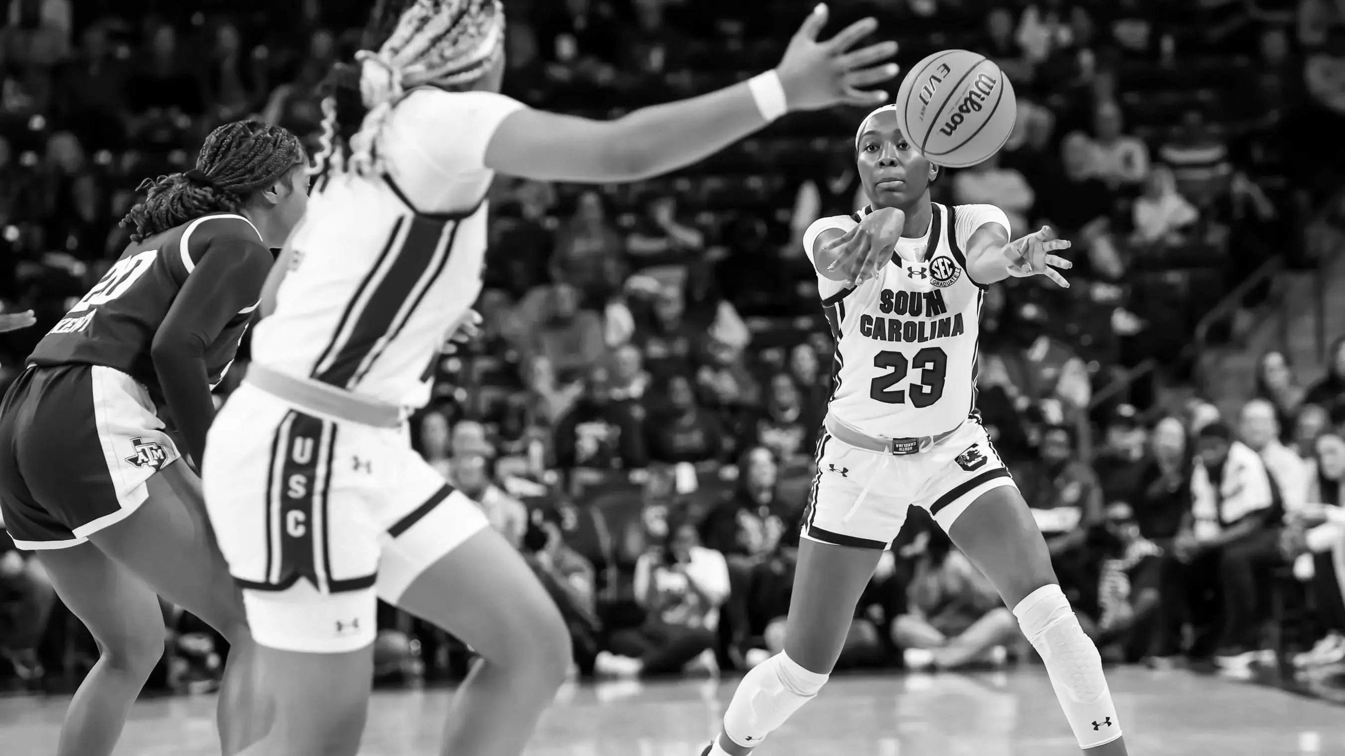 South Carolina Women's Basketball: A Legacy of Excellence