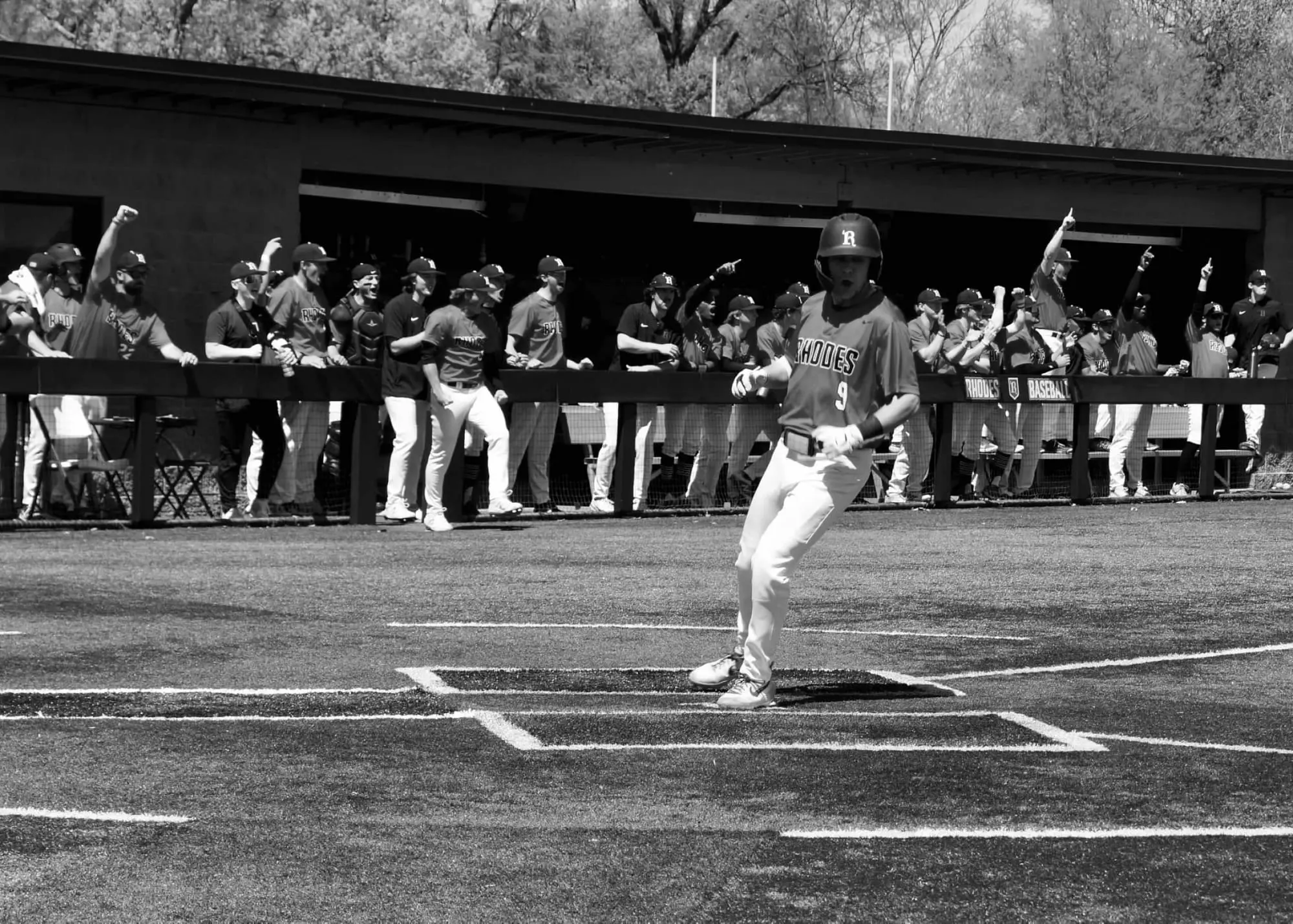Best Rhodes Lynx Baseball of All-Time