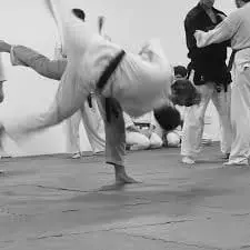 Best MMA Gyms in Kani, Gifu, Japan | Schools and Classes