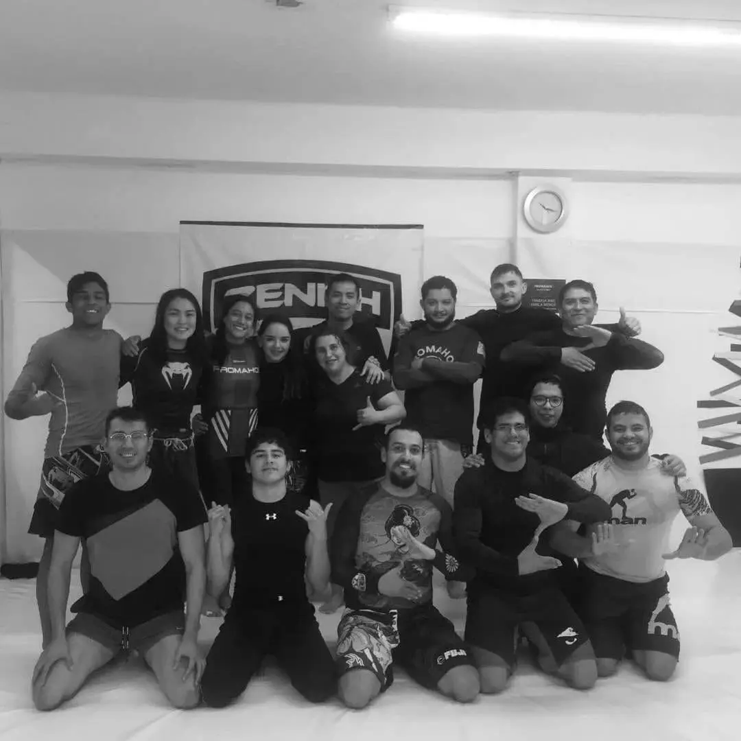 Best MMA Gyms in Mexico | Schools and Classes
