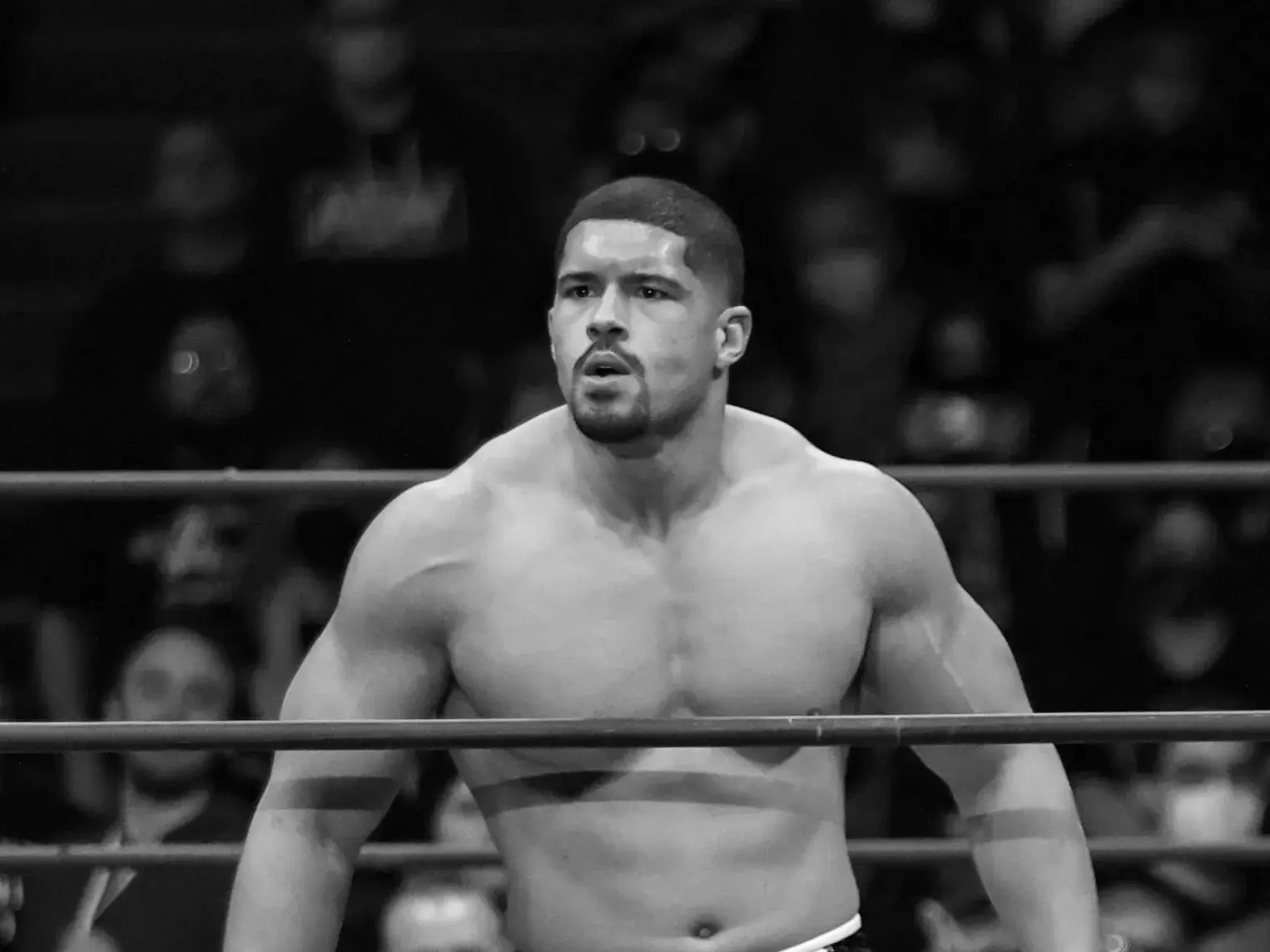 El Santo Pro Wrestler, Net Worth, WWE, Biography