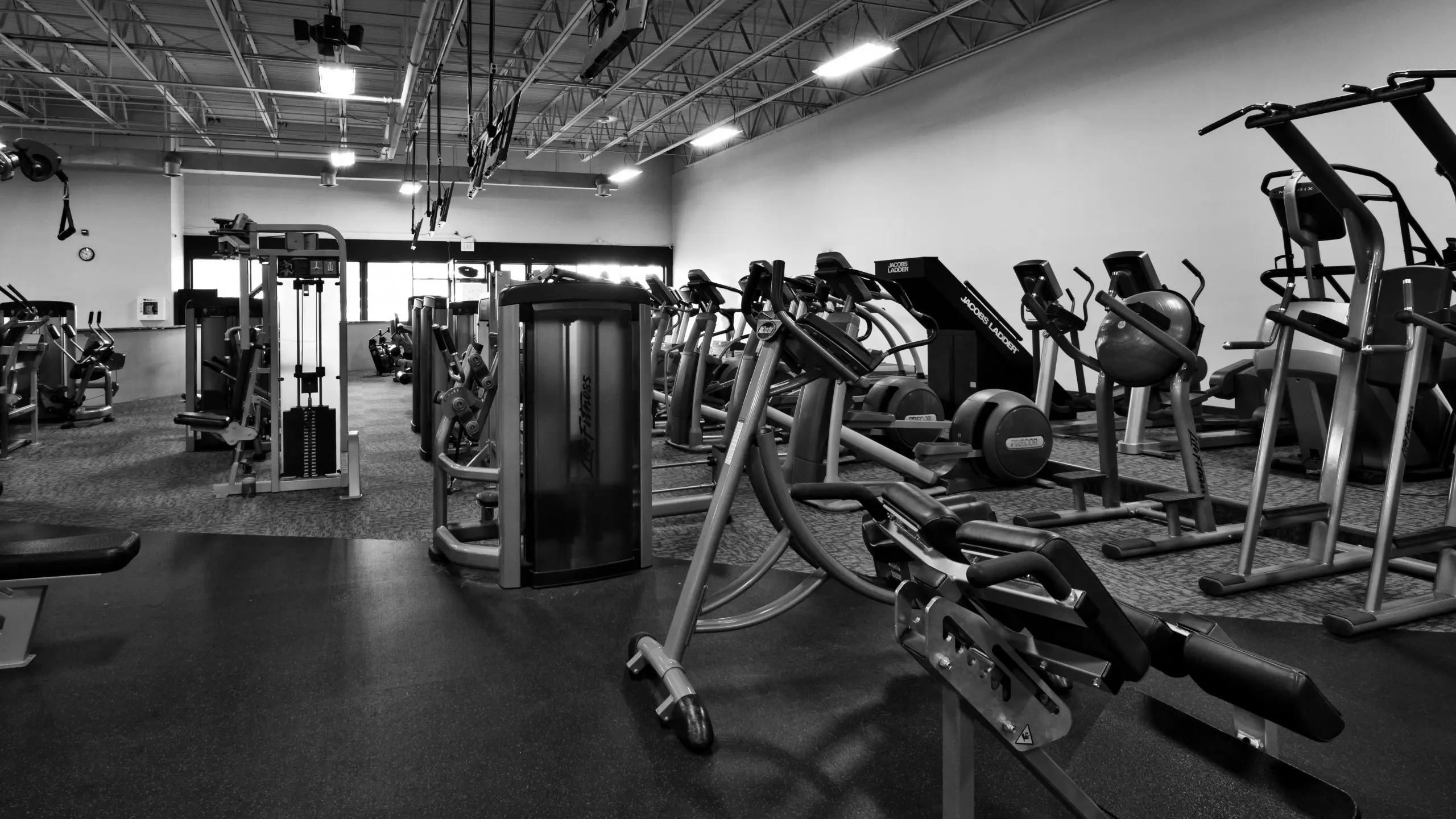 Best Gyms in South Lyon, MI, Boxing, Climbing, Pools