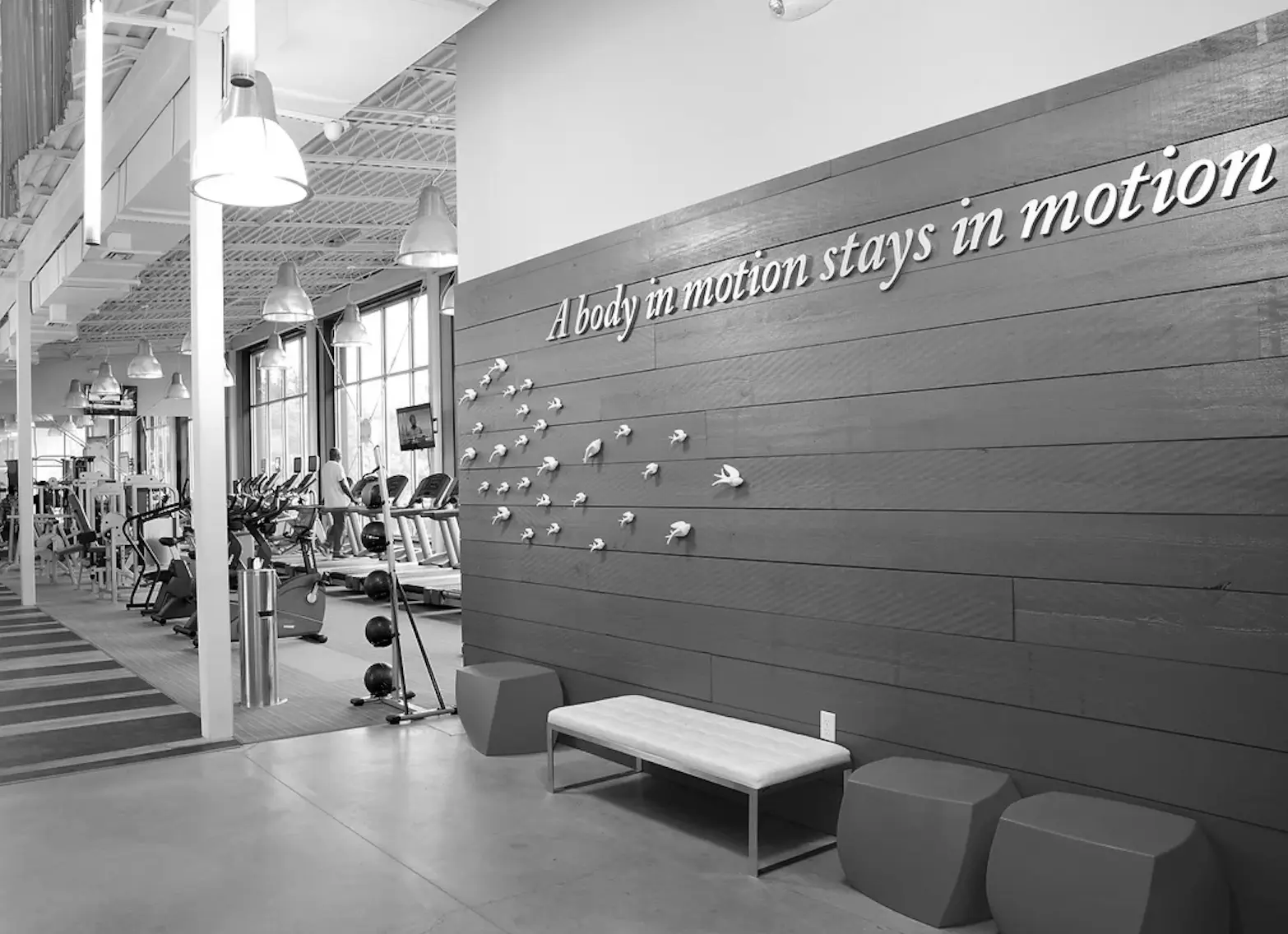 Best Gyms in Wedowee, AL, Boxing, Climbing, Pools
