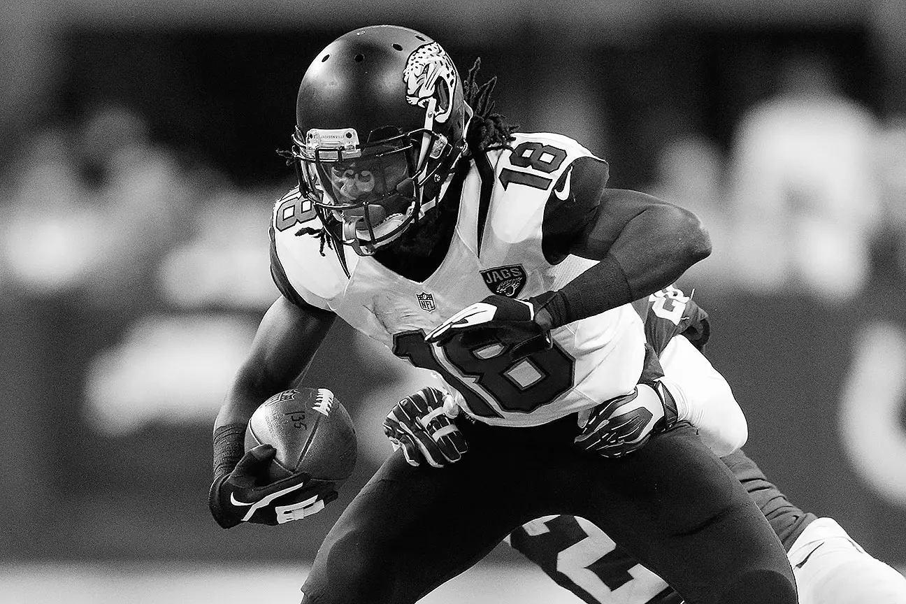 Ace Sanders College Stats, WR Career, South Carolina