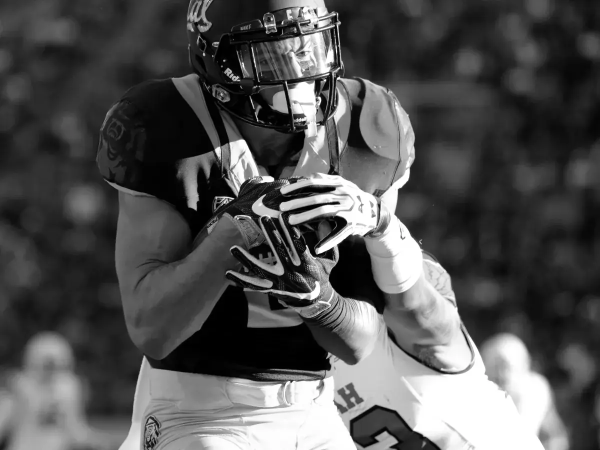 Chad Hansen College Stats, WR Career, California