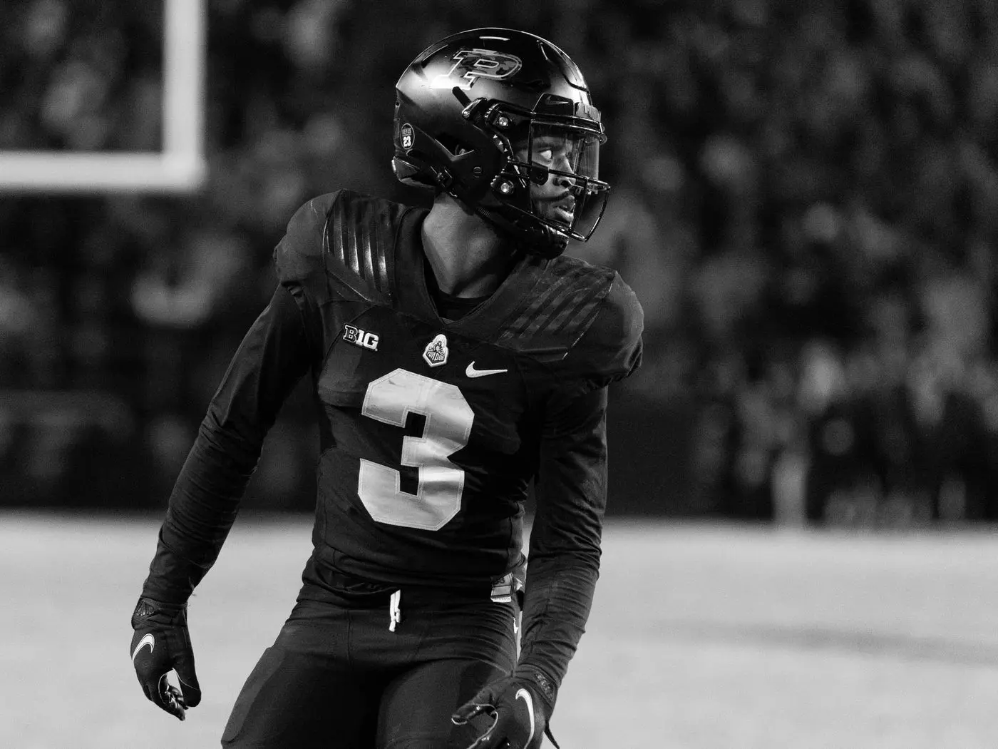 David Bell College Stats, WR Career, Purdue