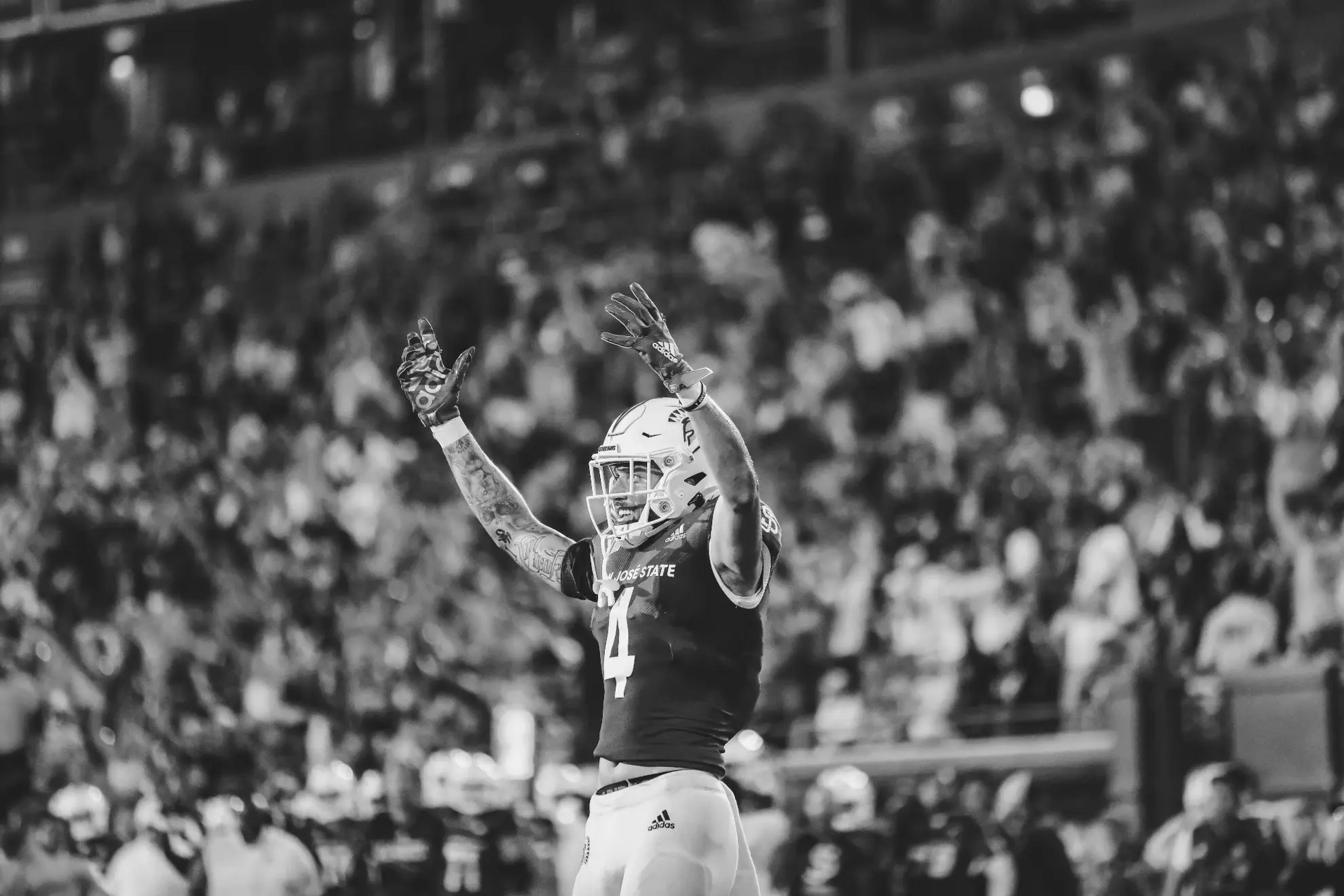Elijah Cooks College Stats, WR Career, Nevada, San Jose State
