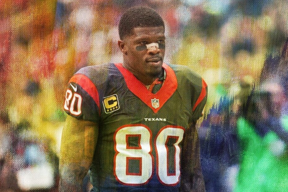 Andre Johnson Stats | NFL Career, Season, and Playoff Statistics