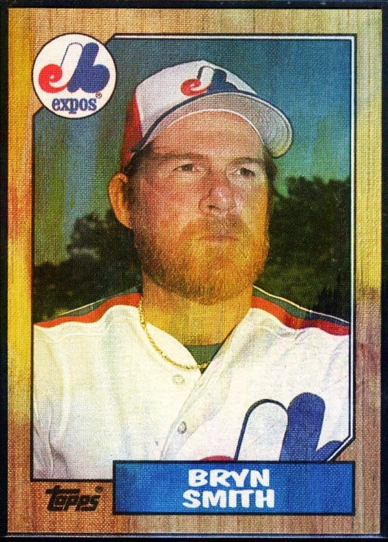 Bryn Smith Stats 1993? | MLB Career and Playoff Statistics