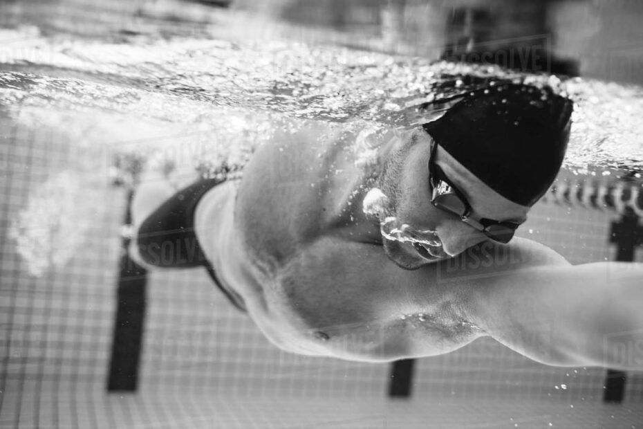 What Are the Fastest Swimming Strokes?