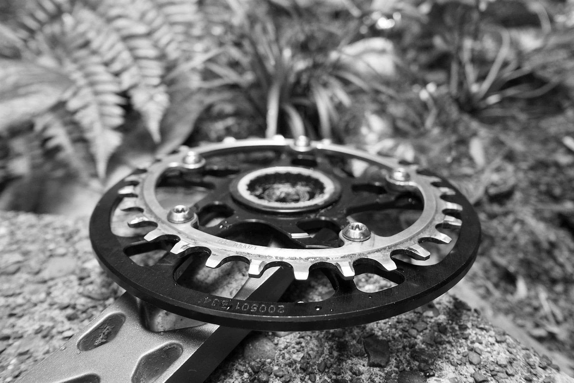 Best Bash Guards 2025 | Top Rated Recommendations