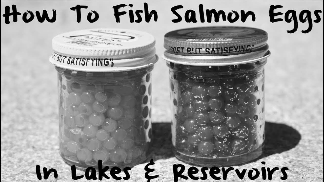 Best Fishing Bait Eggs 2025 | Top Rated Recommendations