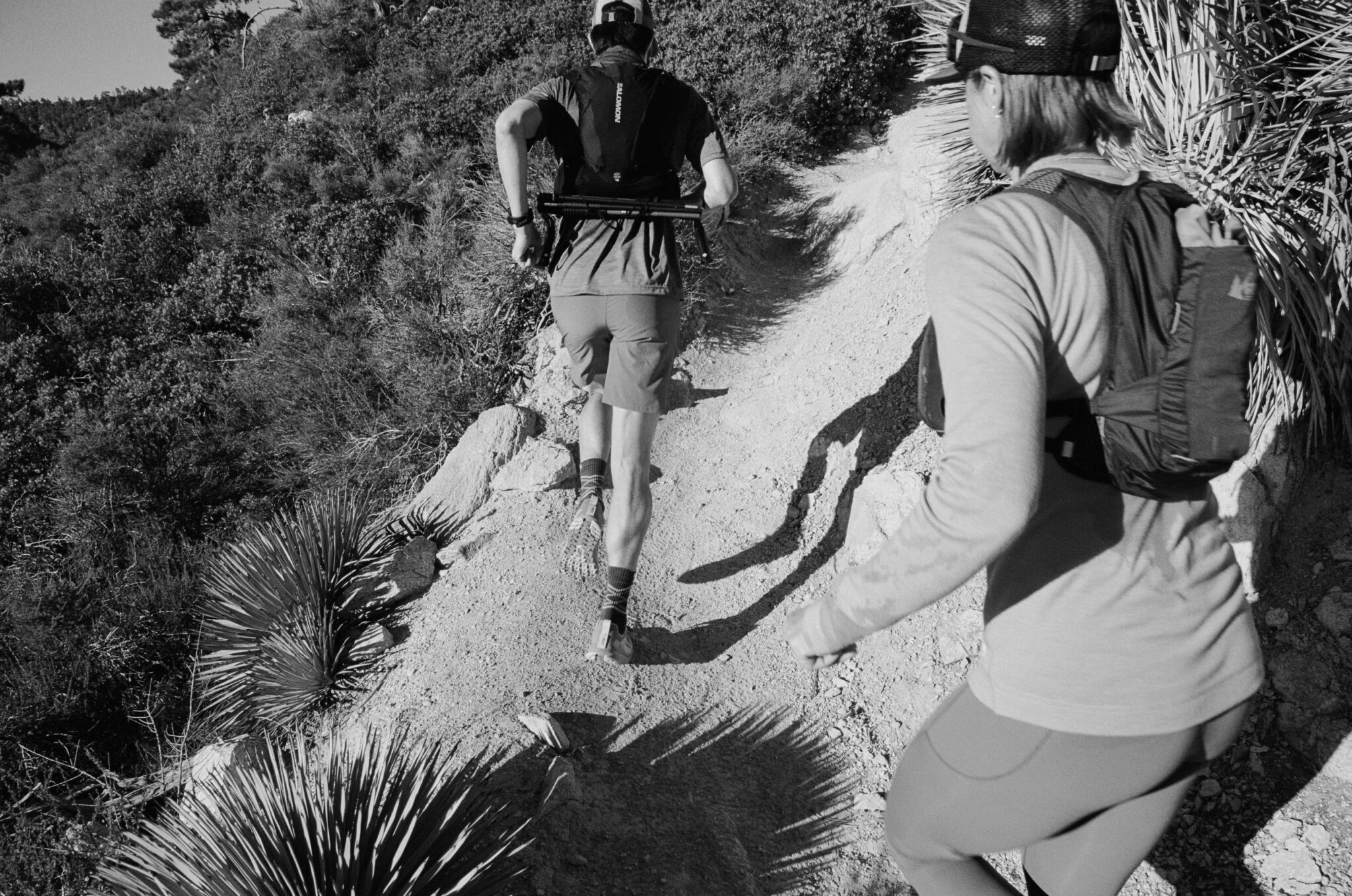 Carson Wentz Stats | NFL Career, Season, and Playoff Statistics