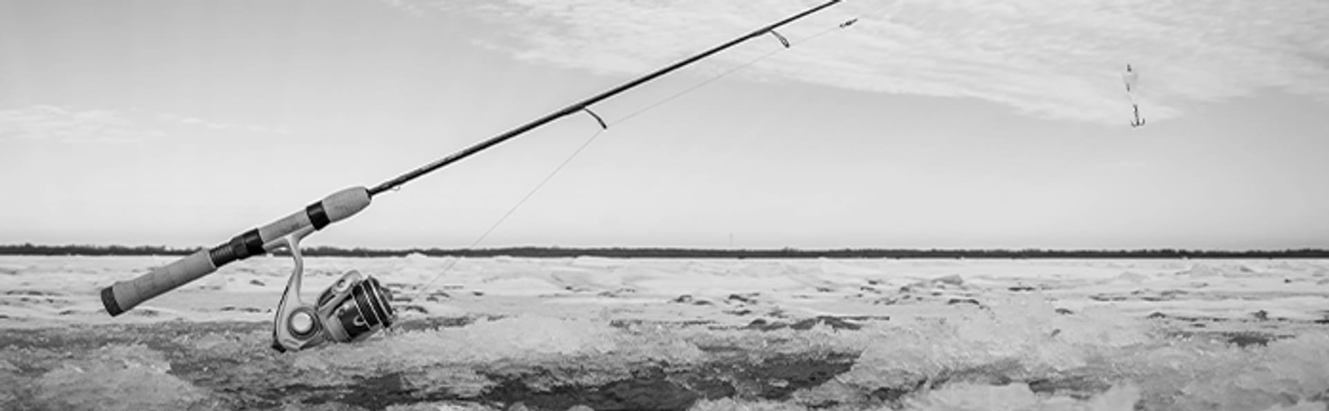 Missouri Fishing License: Fees and Regulations