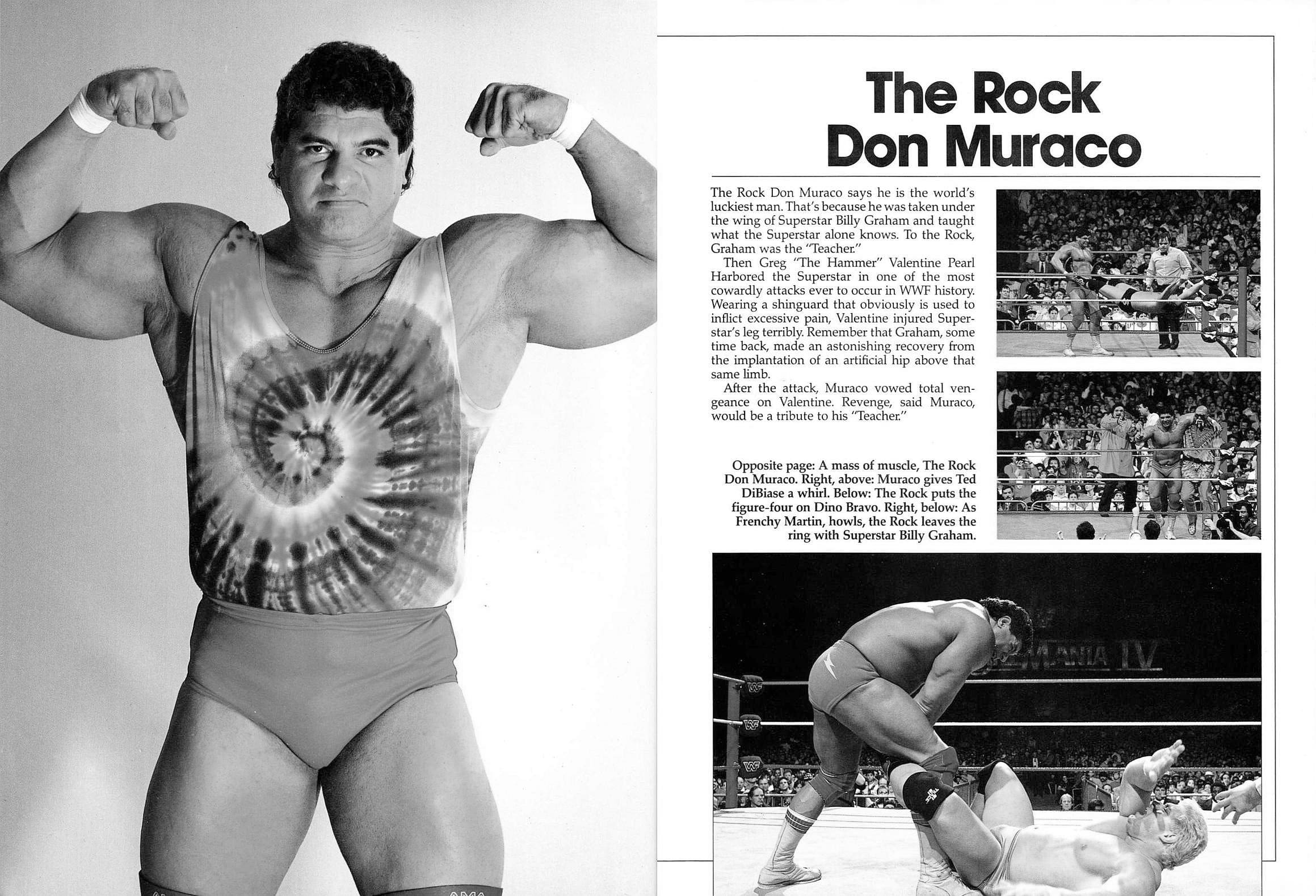 Don Muraco Pro Wrestler, Net Worth, WWE, Biography