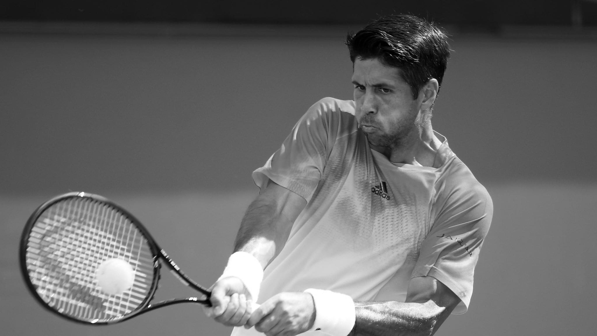 Fernando Verdasco Tennis Stats, Ranking, Net Worth, Career Earnings