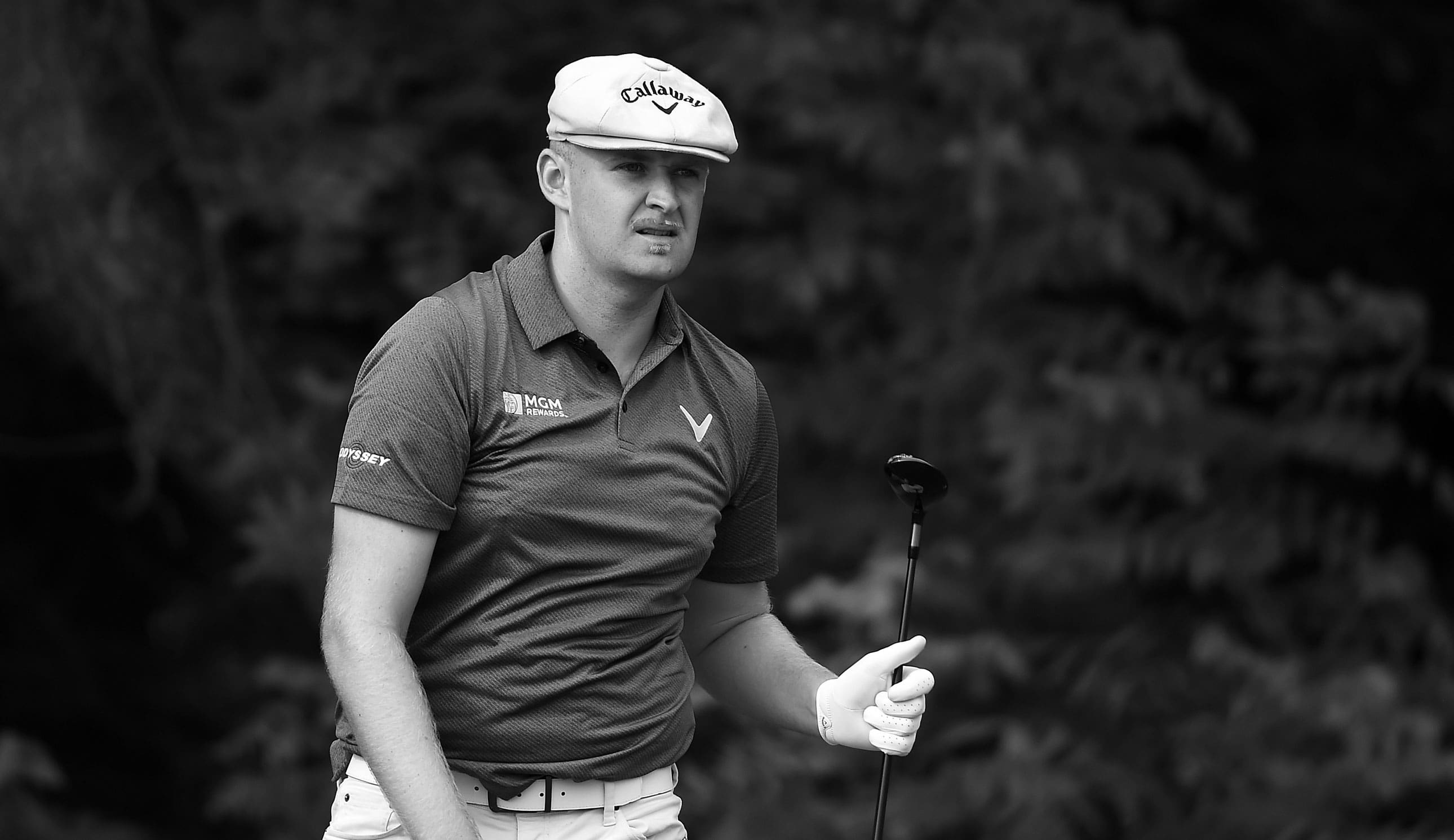 Harry Hall Golf Stats, Swing, Net Worth, Career Earnings