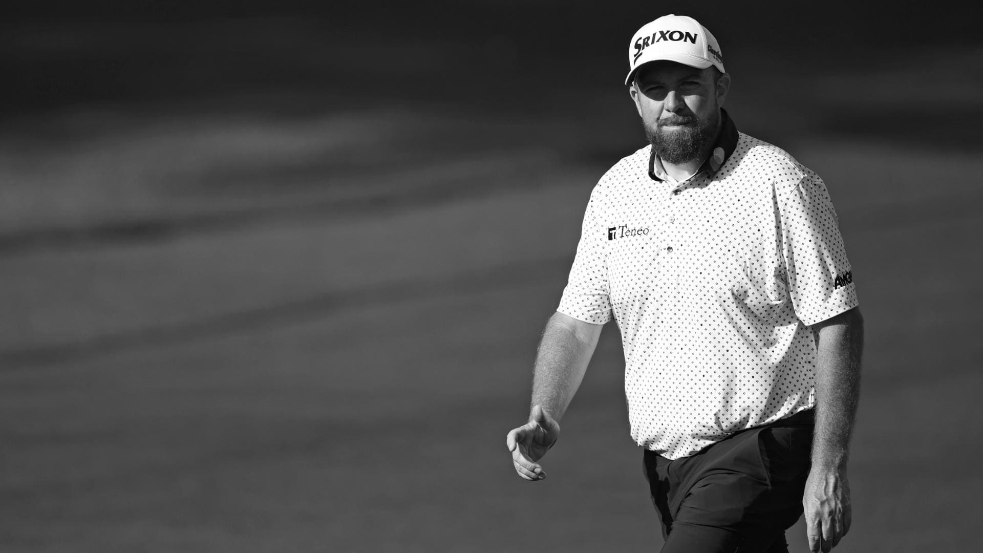 Shane Lowry Golf Stats, Swing, Net Worth, Career Earnings