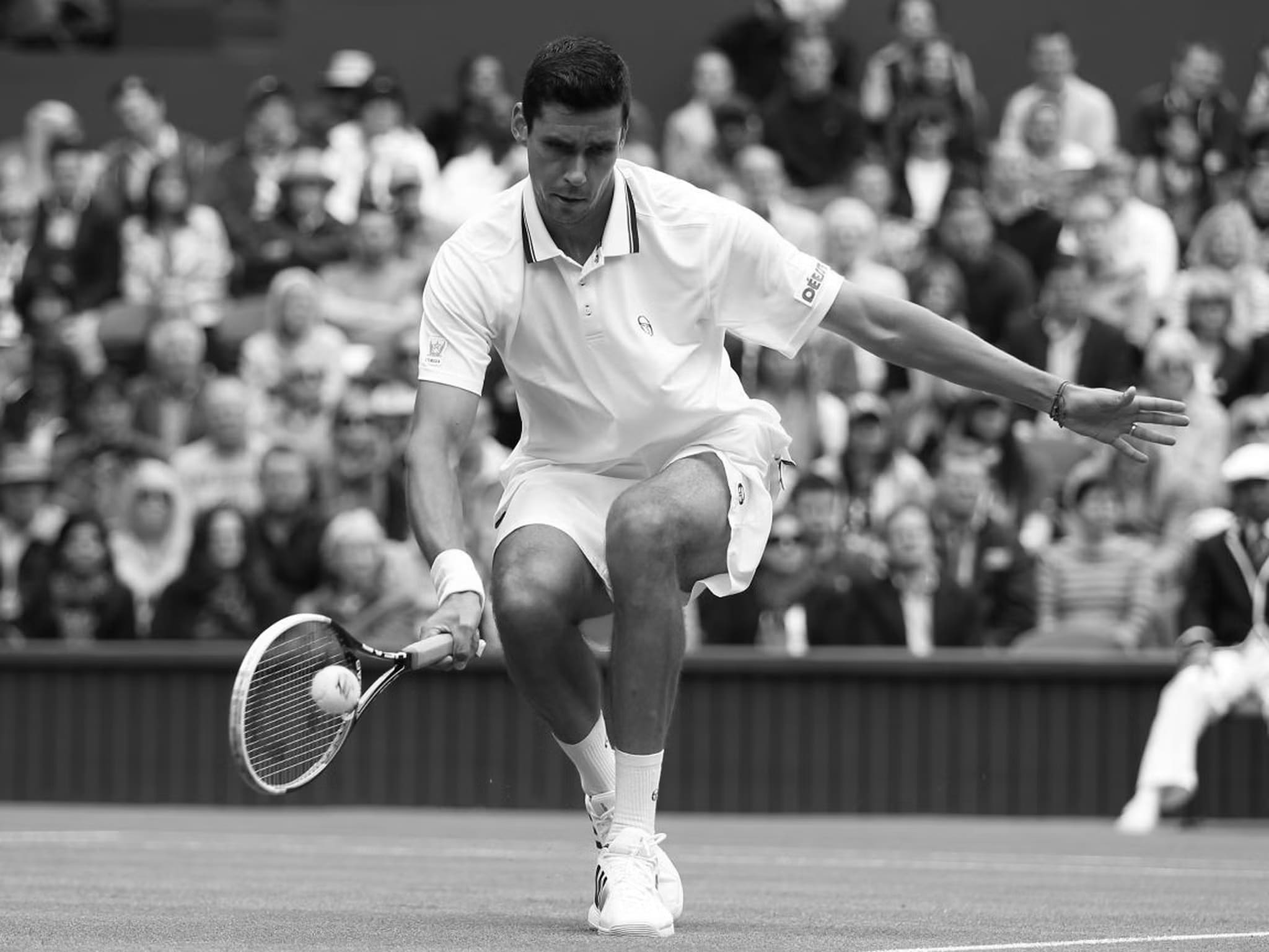 Victor Hanescu Tennis Stats, Ranking, Net Worth, Career Earnings