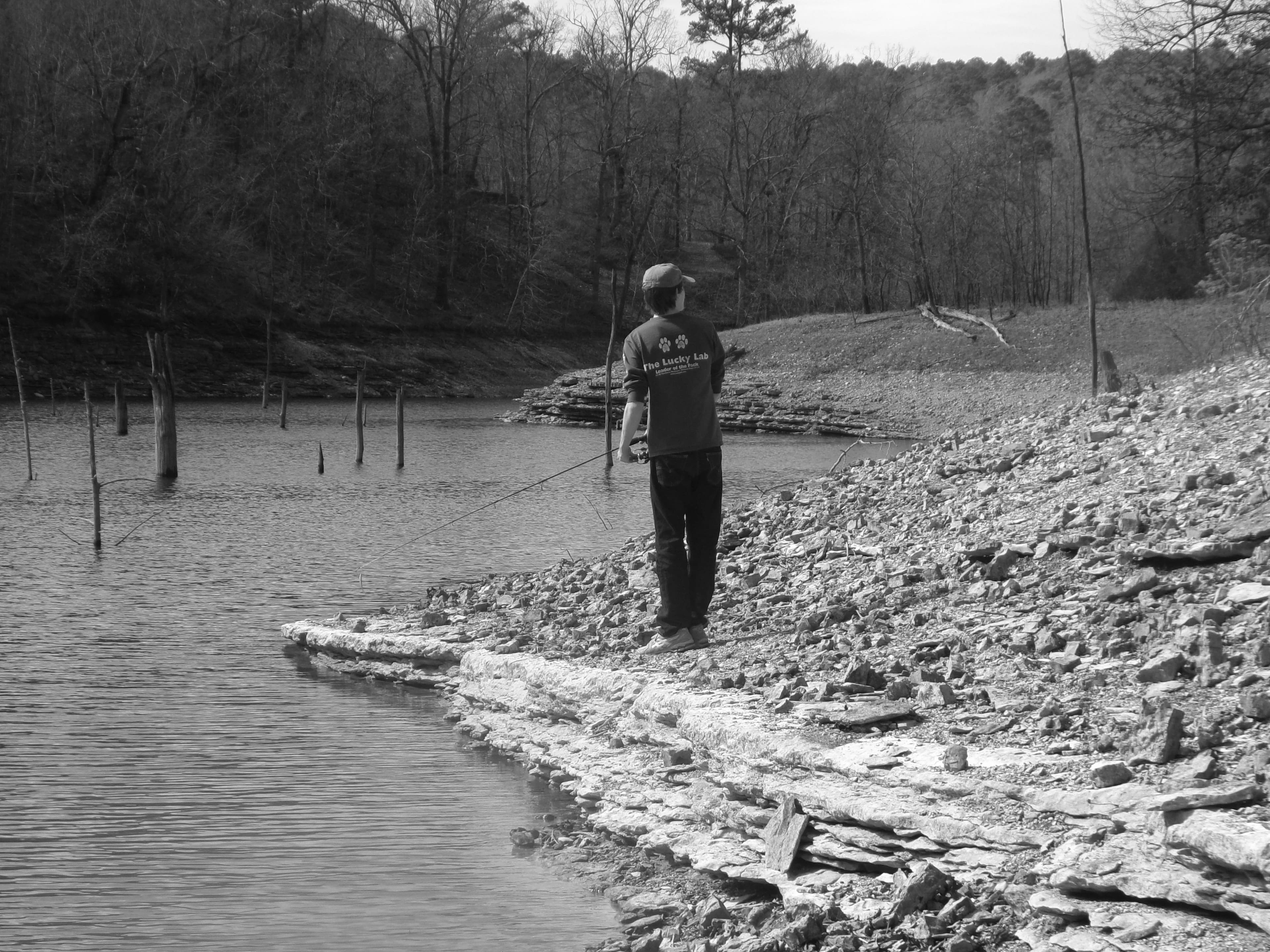 Best Lake Taneycomo Campgrounds, RV Parks, Places to go Camping