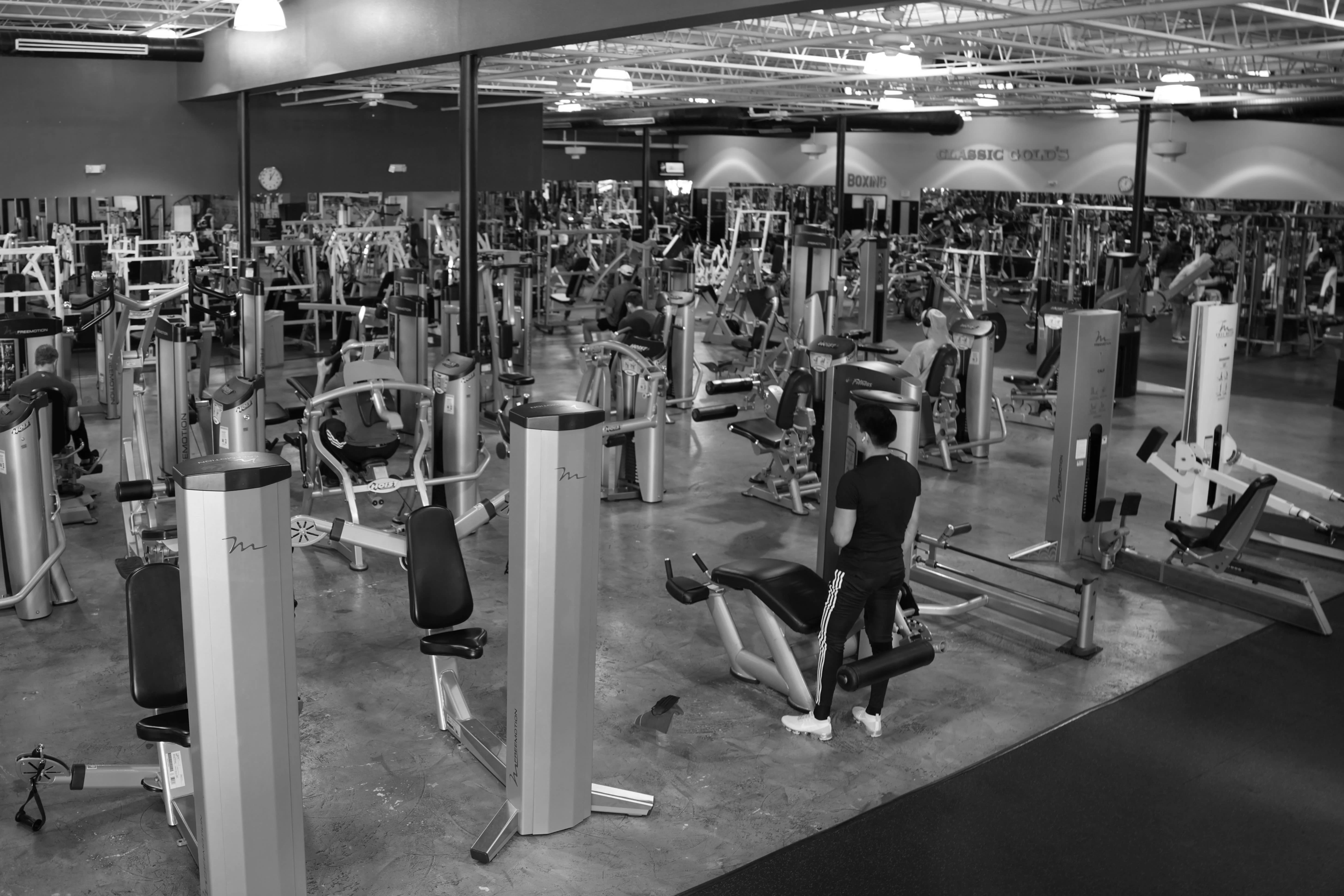 Best Gyms in Annandale, VA, Boxing, Climbing, Pools