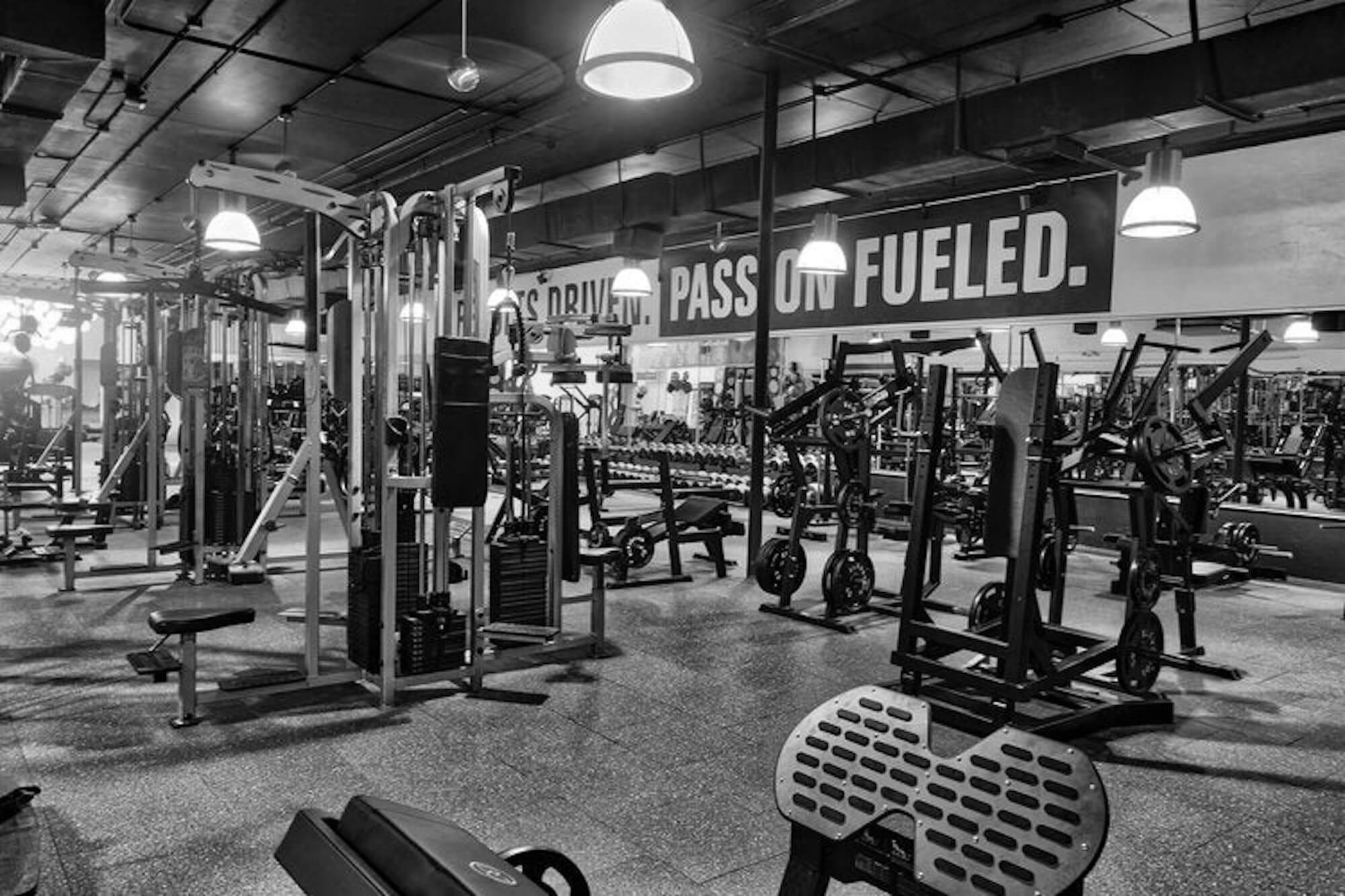 Best Gyms in Miami Beach, FL, Boxing, Climbing, Pools