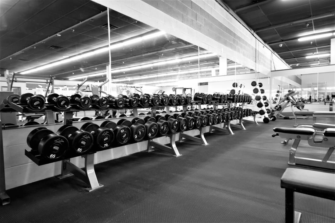 Best Gyms in Richmond, MI, Boxing, Climbing, Pools